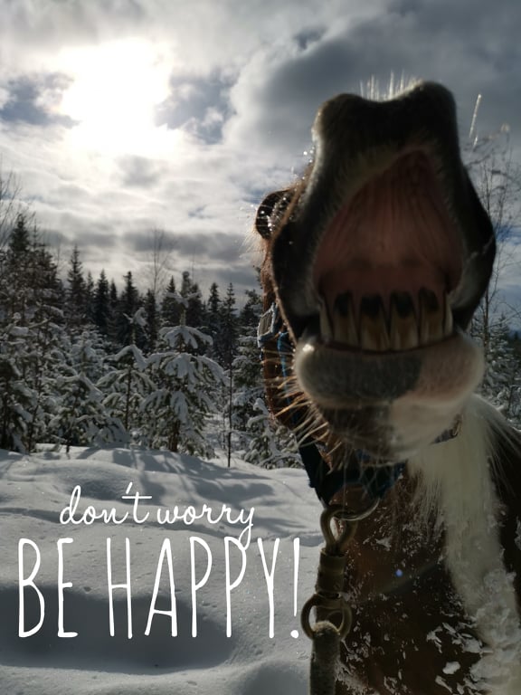 Don’t worry – Be Happy! – Eponita